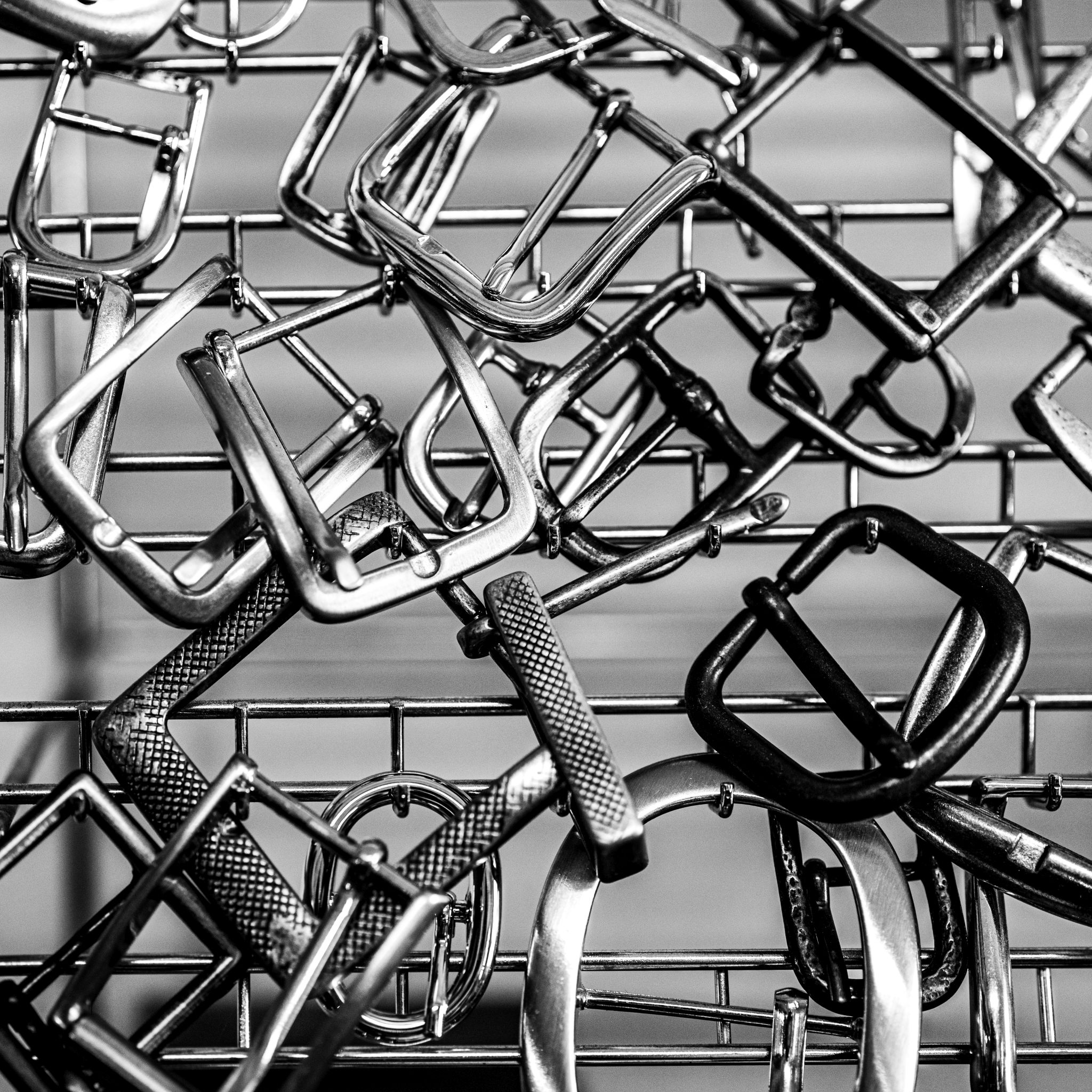 Belt buckle reunion - Adrian Schaub photography