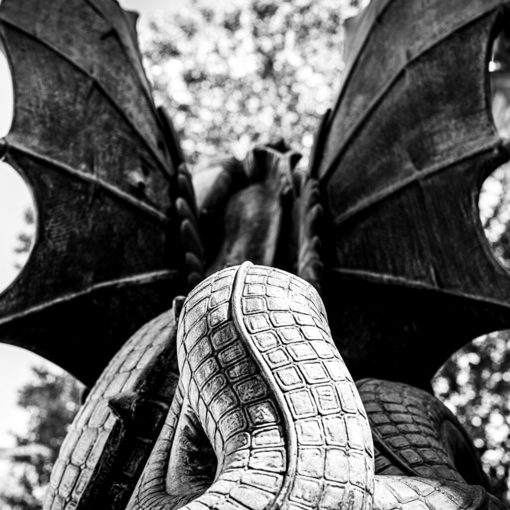 Behind the dragon (2022) - Adrian Schaub photography