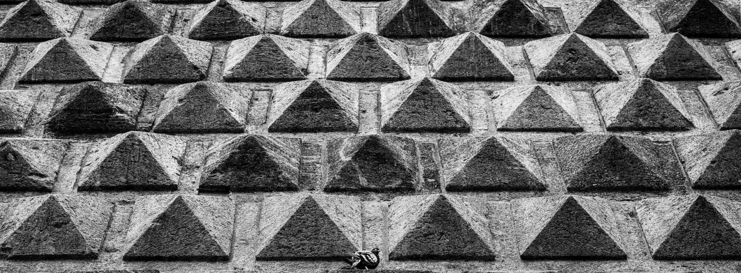 Pigeon and pyramids (2024) - Adrian Schaub photography