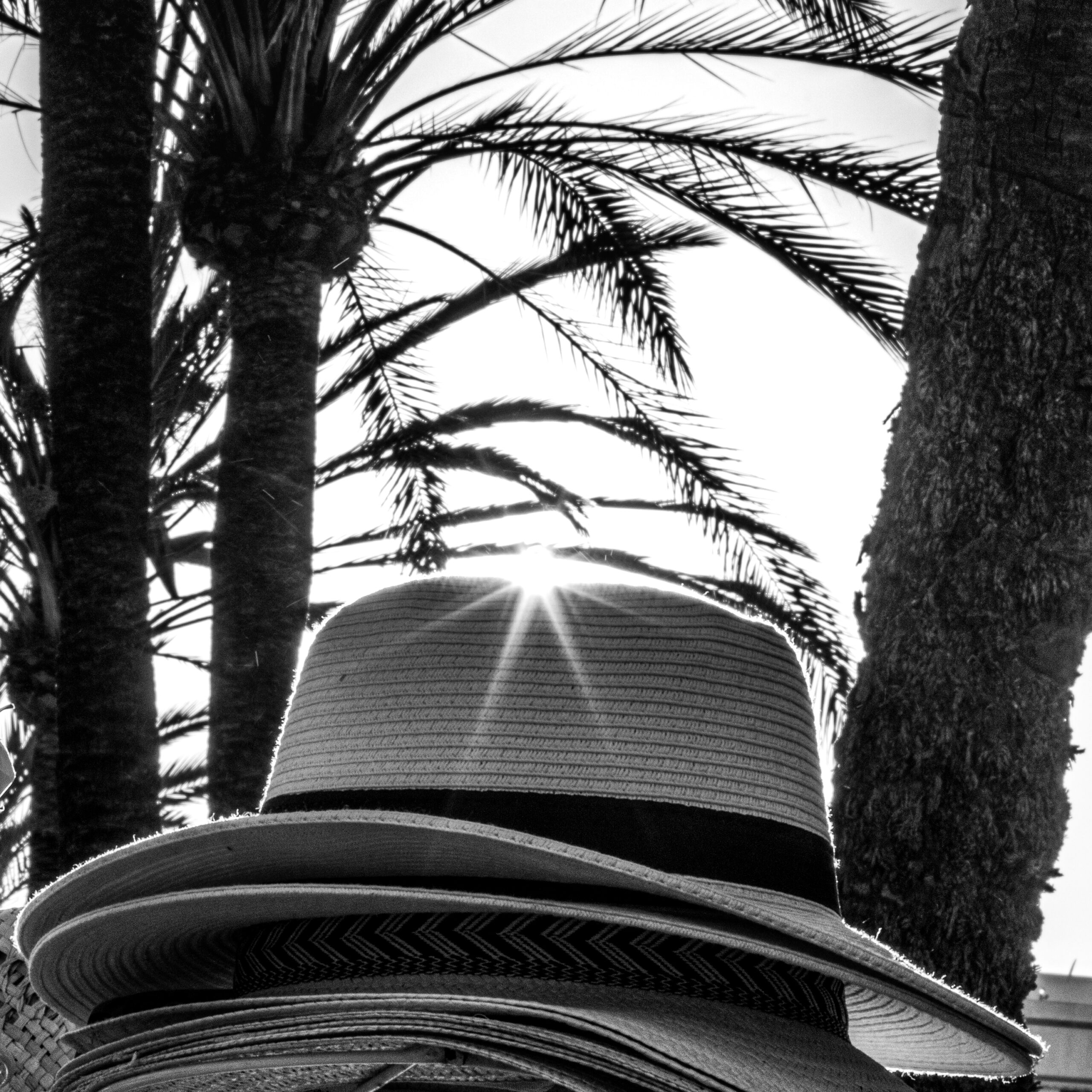 Summer hats (2024) - Adrian Schaub photography